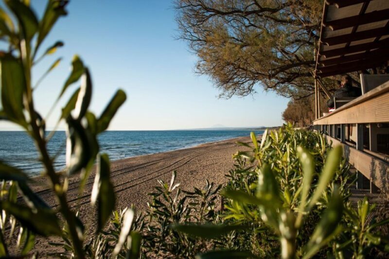Sandy Shores Shuttle: Your Gateway to Kourouta Beach - Practicalities and Cost-Value