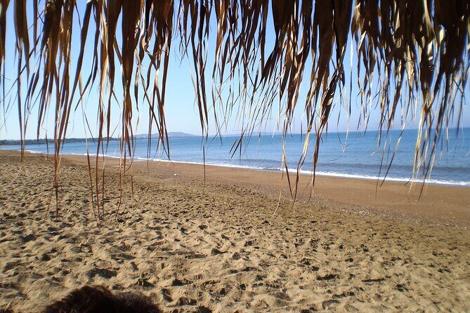 Sandy Shores Shuttle: Your Gateway to Kourouta Beach - Detailed Breakdown of the Experience