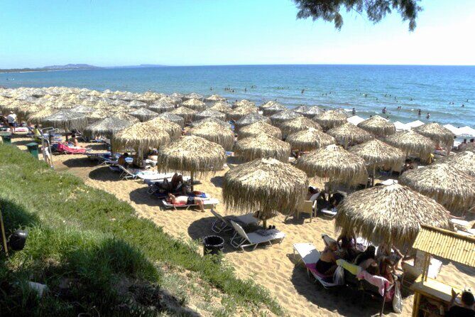 Sandy Shores Shuttle: Your Gateway to Kourouta Beach - The Sum Up