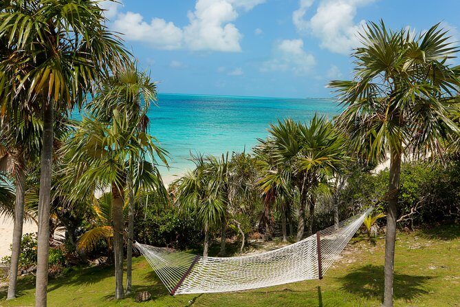 Sandy Toes The Original Rose Island and Swimming Pigs Tour - Who Should Consider This Tour?