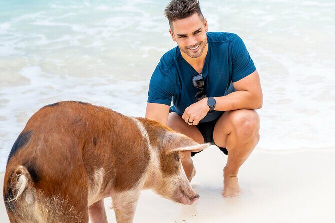 Sandy Toes The Original Rose Island and Swimming Pigs Tour - Final Thoughts