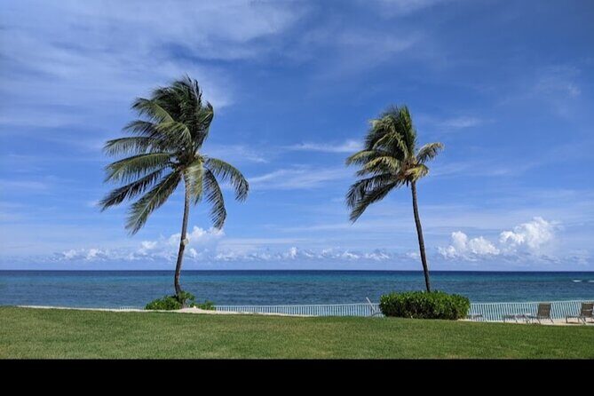 Sangster International Airport Private Transfer to Montego Bay - Why This Transfer Is a Great Choice