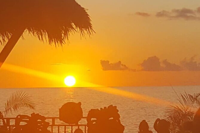 Sangster International Airport to Negril Tree House Resort - The Sum Up