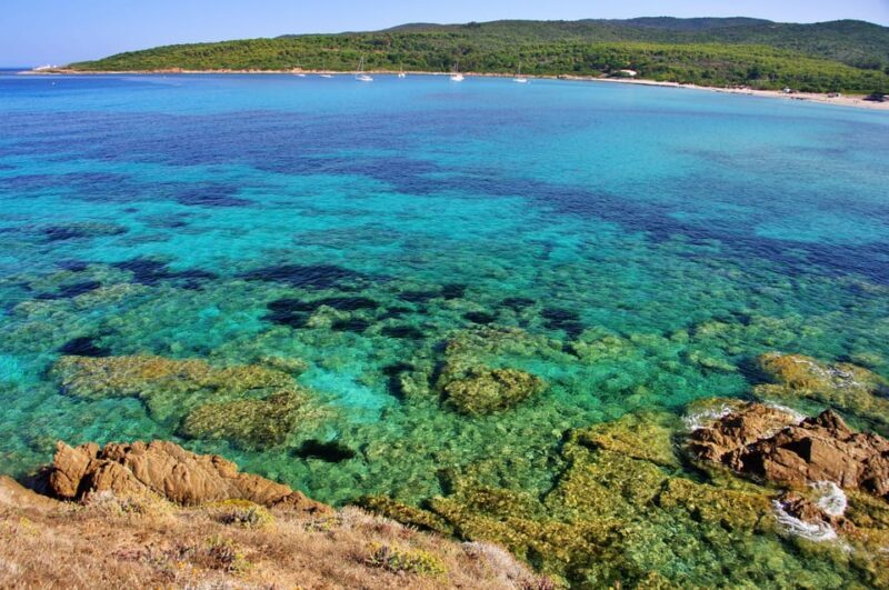 Sanguinaires Islands tour Capo di Feno - The Overall Experience