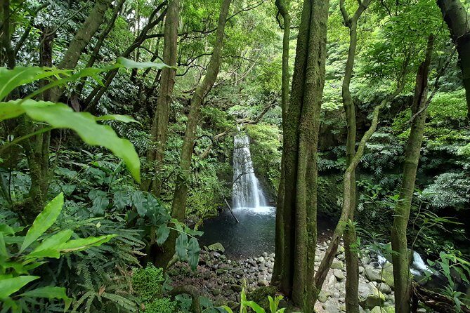 Sanguinho hike, Salto do Prego Waterfall and Furnas hotsprings - Who Is This Tour Best For?