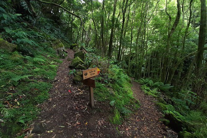 Sanguinho hike, Salto do Prego Waterfall and Furnas hotsprings - FAQ Section