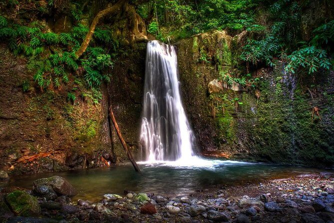 Sanguinho Trail Full-Day Walking Tour with Lunch - Sanguinho Trail Full-Day Walking Tour with Lunch: A Detailed Review