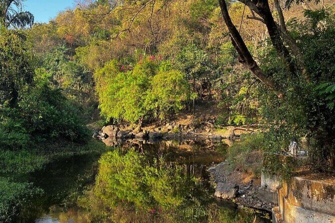 Sanjay Gandhi National Park and Kanheri Caves Day Private Tour - The Tour at a Glance: A Practical Breakdown