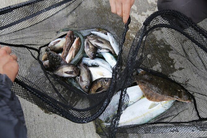 Sanriku Geopark Fishing Industry Field Trip - Summary