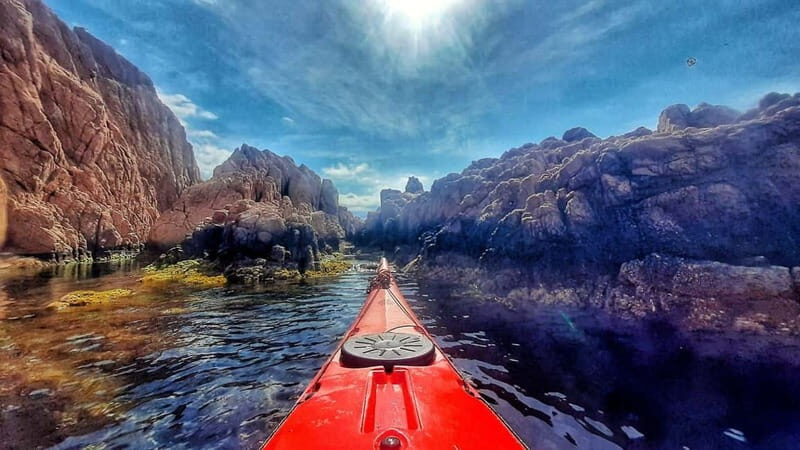 Sant Feliu de Guíxols - Costa Brava: Morning Sea Kayak Tour - Key Points