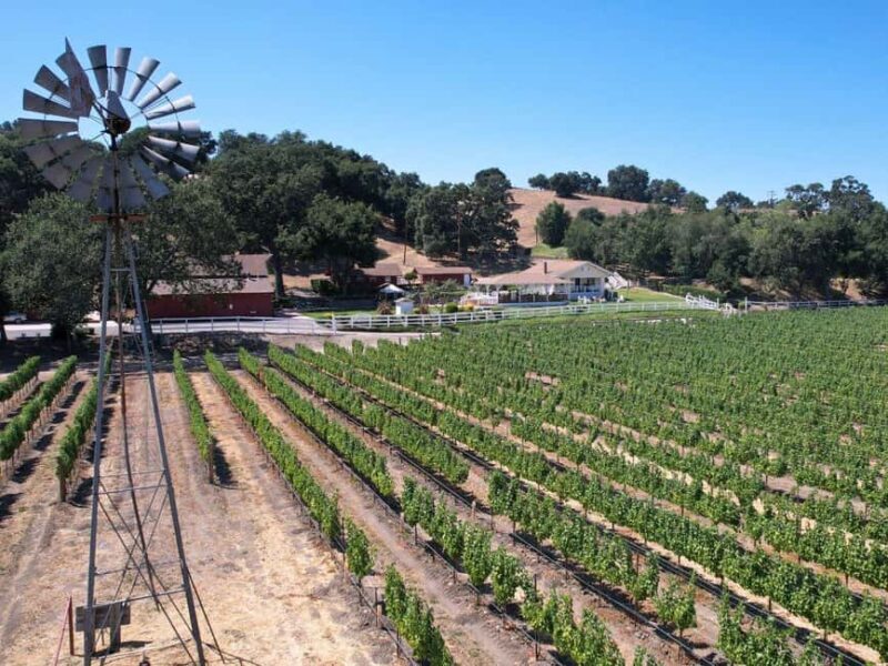 Santa Barbara: 3-Winery Tour Includes Tastings & Lunch inSYV - Who Should Consider This Tour?
