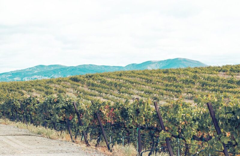 Santa Barbara: 3-Winery Tour Includes Tastings & Lunch inSYV - An Honest Look at the Santa Ynez 3-Winery Tour