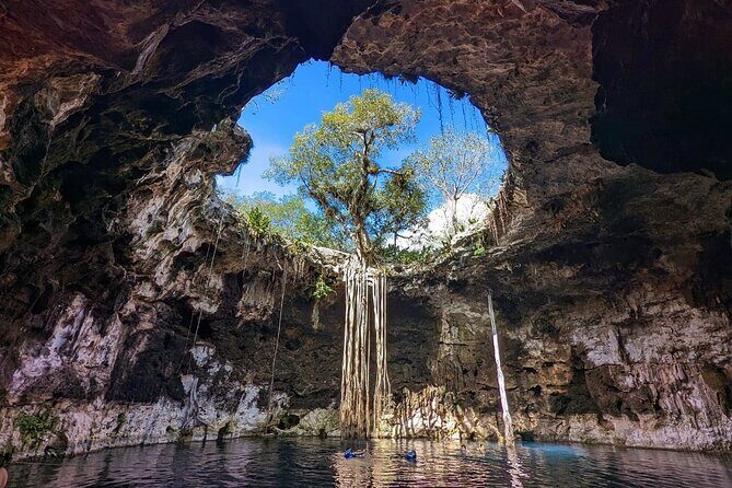 Santa Barbara 4 Cenotes and Bicycles with Lunch from Mérida - Key Points