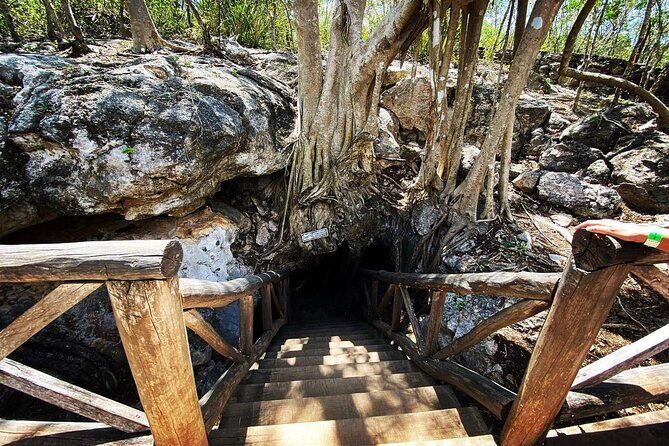 Santa Barbara 4 Cenotes and Bicycles with Lunch from Mérida - The Experience from the Reviews