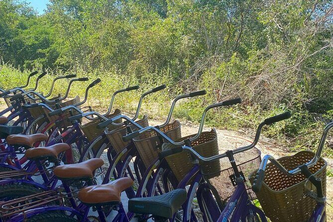 Santa Barbara 4 Cenotes and Bicycles with Lunch from Mérida - FAQ
