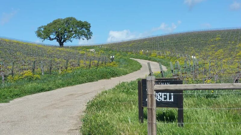 Santa Barbara: E-bike wine tour w/ transport, tasting, lunch - The Itinerary: A Day in Santa Ynez Valley