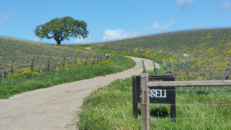 Santa Barbara: E-bike wine tour w/ transport, tasting, lunch - Who Is This Tour Best For?