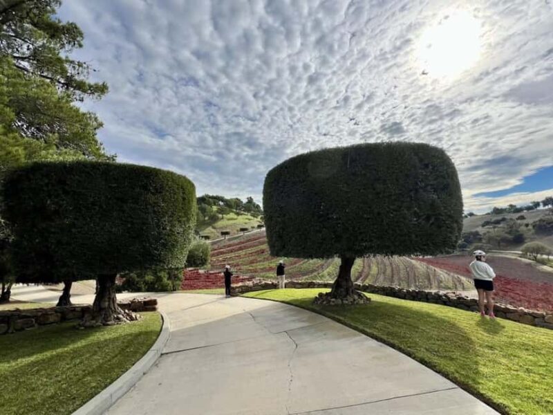 Santa Barbara: E-bike wine tour w/ transport, tasting, lunch - FAQ: Your Key Questions About the Santa Barbara E-bike Wine Tour