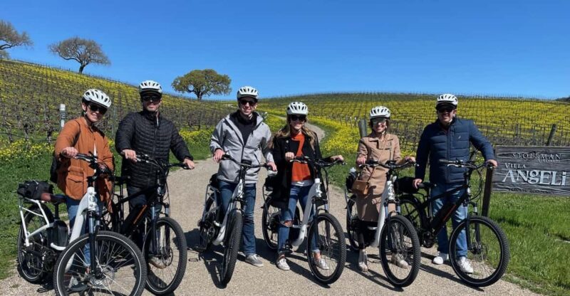 Santa Barbara: E-bike wine tour w/ transport, tasting, lunch - Key Points