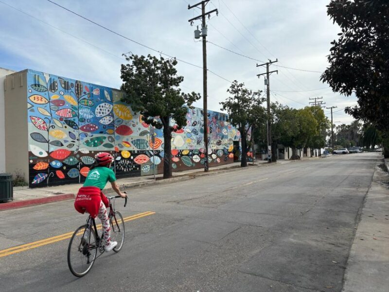 Santa Barbara: Guided Tour on electric bikes (private) - Why Choose This Santa Barbara Electric Bike Tour?