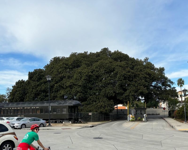 Santa Barbara: Guided Tour on electric bikes (private) - Who Is This Tour Best For?
