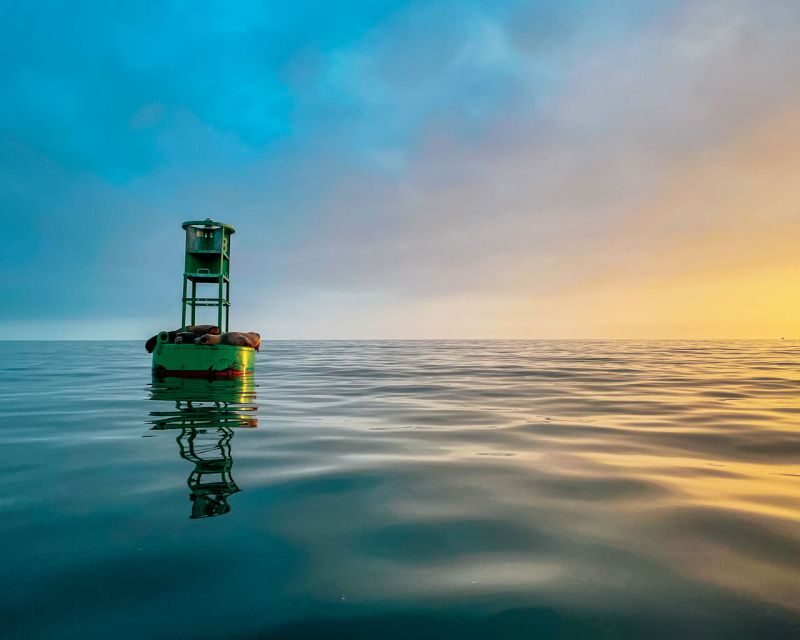 Santa Barbara Harbor: Sunset Kayak Tour (2 Hours) - What to Expect on the Santa Barbara Sunset Kayak Tour