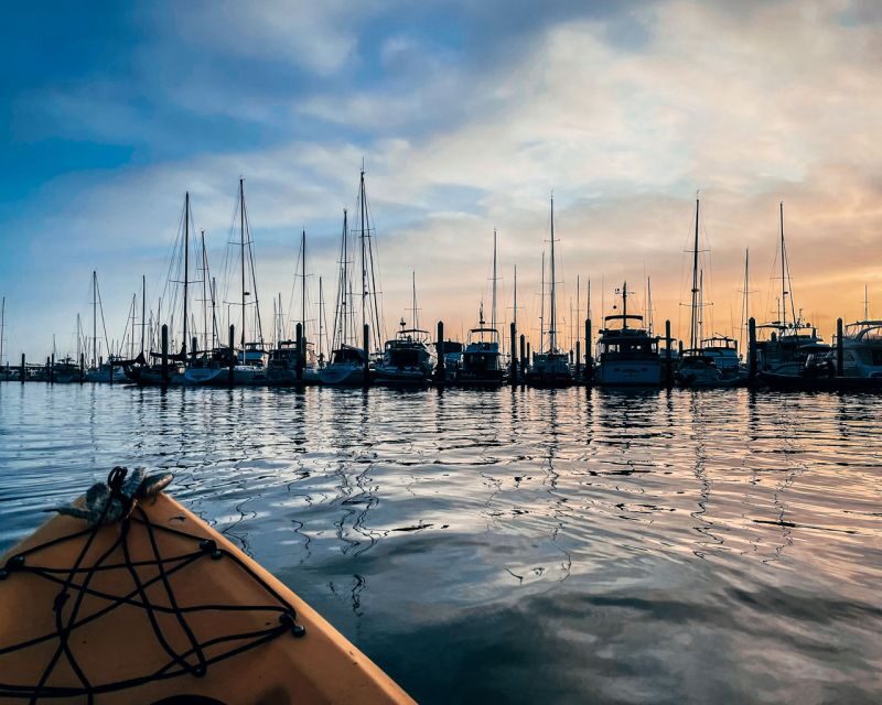 Santa Barbara Harbor: Sunset Kayak Tour (2 Hours) - Frequently Asked Questions