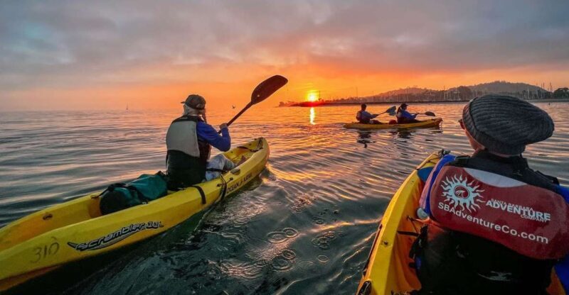 Santa Barbara Harbor: Sunset Kayak Tour (2 Hours) - A Closer Look at the Santa Barbara Sunset Kayak Experience