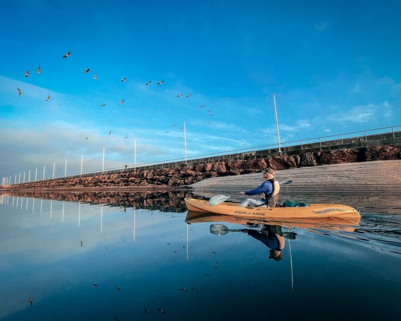 Santa Barbara Harbor: Sunset Kayak Tour (2 Hours) - Price and Value