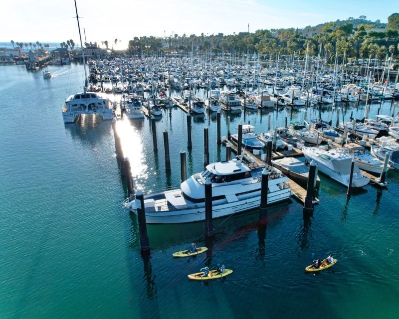 Santa Barbara Harbor: Wildlife Kayak Tour (2 Hours) - Key Points