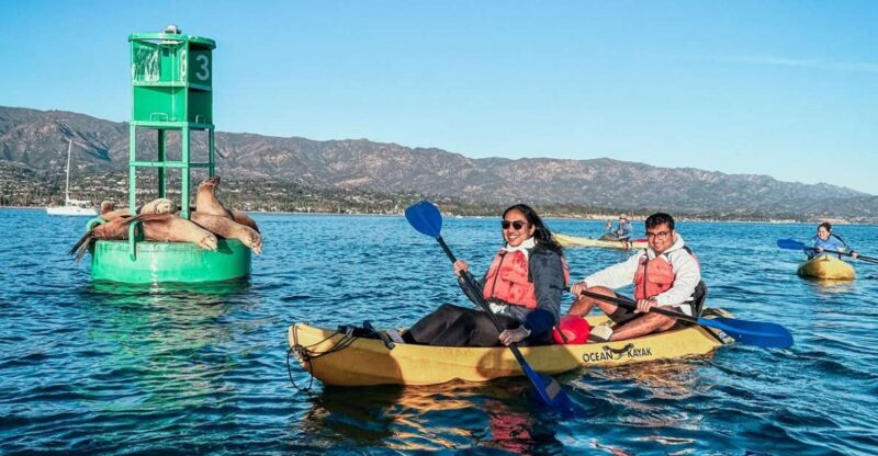 Santa Barbara Harbor: Wildlife Kayak Tour (2 Hours) - An In-Depth Look at the Santa Barbara Wildlife Kayak Tour
