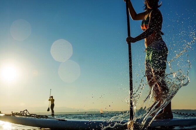 Santa Barbara Kayak or Stand Up Paddle Rental - Authentic Experiences and Authentic Reviews