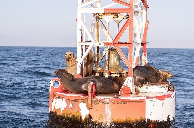 Santa Barbara Narrated Coastal Yacht Experience - FAQ