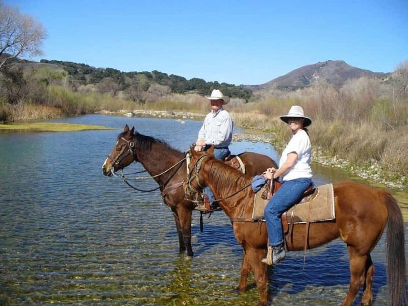 Santa Barbara: Scenic Canyon Horseback Riding Tour - Santa Barbara: Scenic Canyon Horseback Riding Tour - A Detailed Review