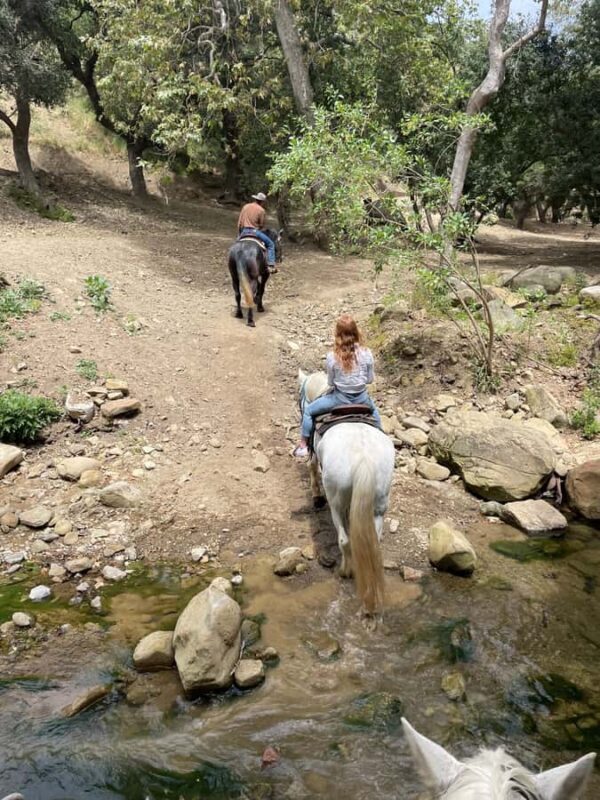 Santa Barbara: Scenic Canyon Horseback Riding Tour - Key Points