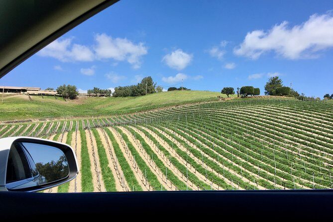 Santa Barbara Small-Group Wine Tour to Private Estates & Wineries - An In-Depth Look at the Santa Barbara Small-Group Wine Tour