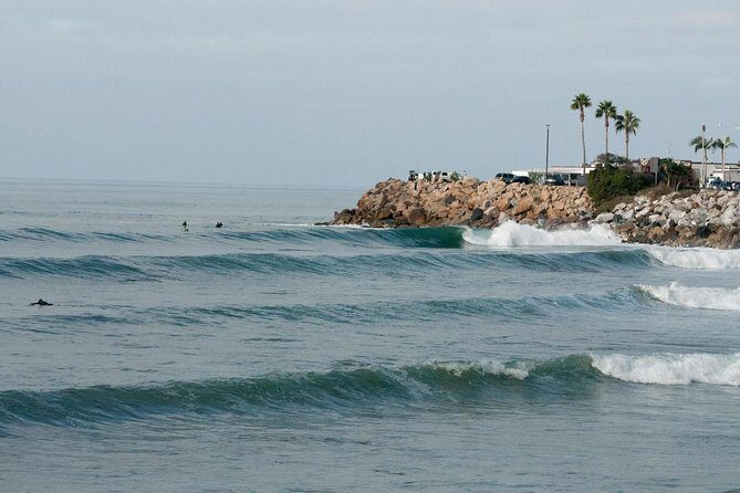 Santa Barbara Surf Guide - What the Reviews Say