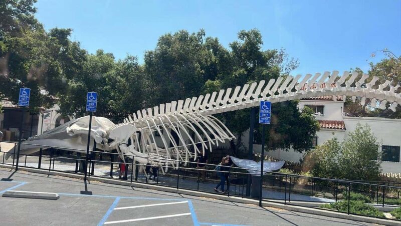 Santa Barbara: Trolley Tour - Final Thoughts: Is This Tour Right for You?
