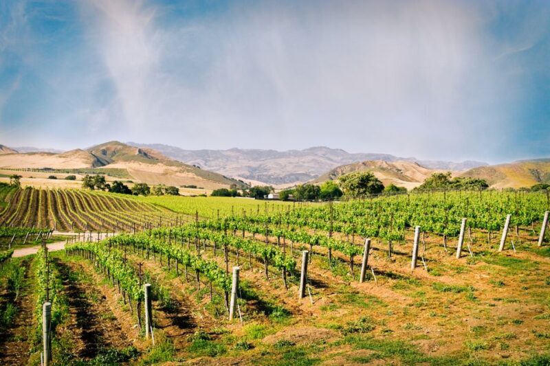 Santa Barbara: Wine Country Tour with Lunch - A Deep Dive into the Santa Barbara Wine Country Tour