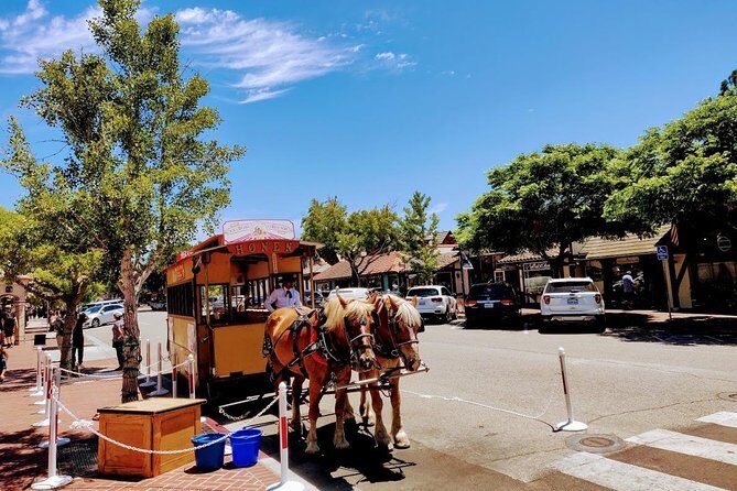 Santa Barbara Wine Tasting Day Tour from Los Angeles - Lunch and More Vineyard Stops in Los Olivos