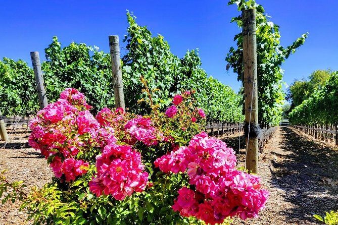 Santa Barbara Wine Tasting Day Tour from Los Angeles - Scenic Highlights Along the Way