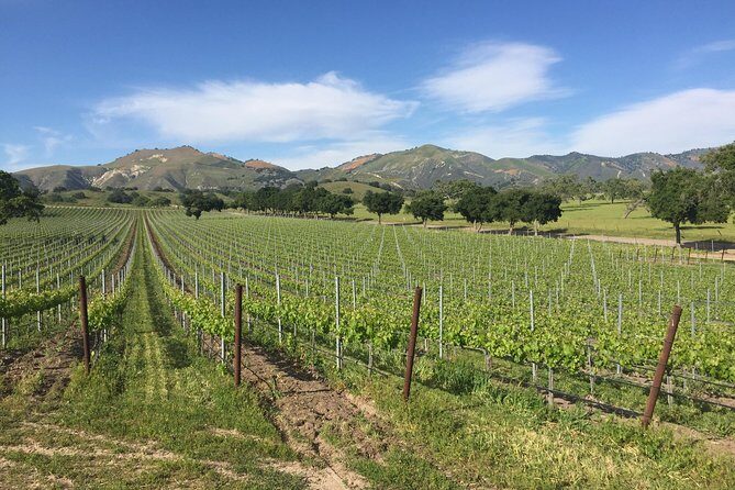 Santa Barbara Wine Tour Experience - Authentic and Boutique - Exploring the Santa Barbara Wine Tour Experience in Detail