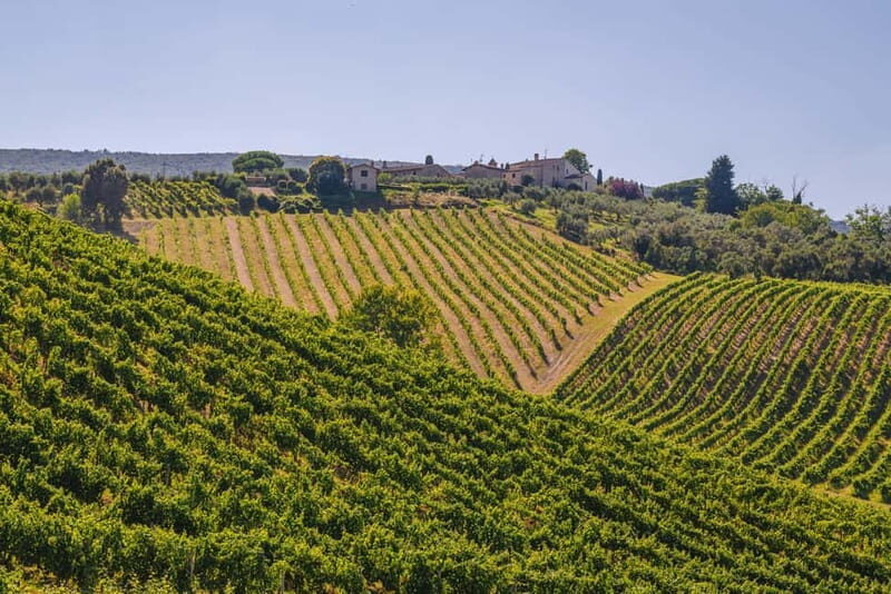 "Santa Chiara" wine tasting - Palagetto winery - An In-Depth Look at the "Santa Chiara" Wine Tasting