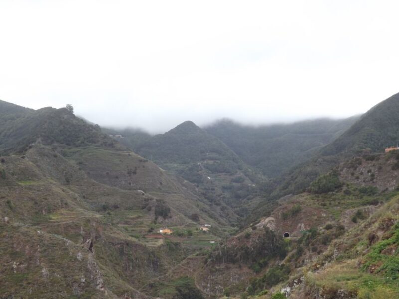 Santa Cruz de Tenerife: 2-Hour Hiking Tour in Anaga Forest - Key Points