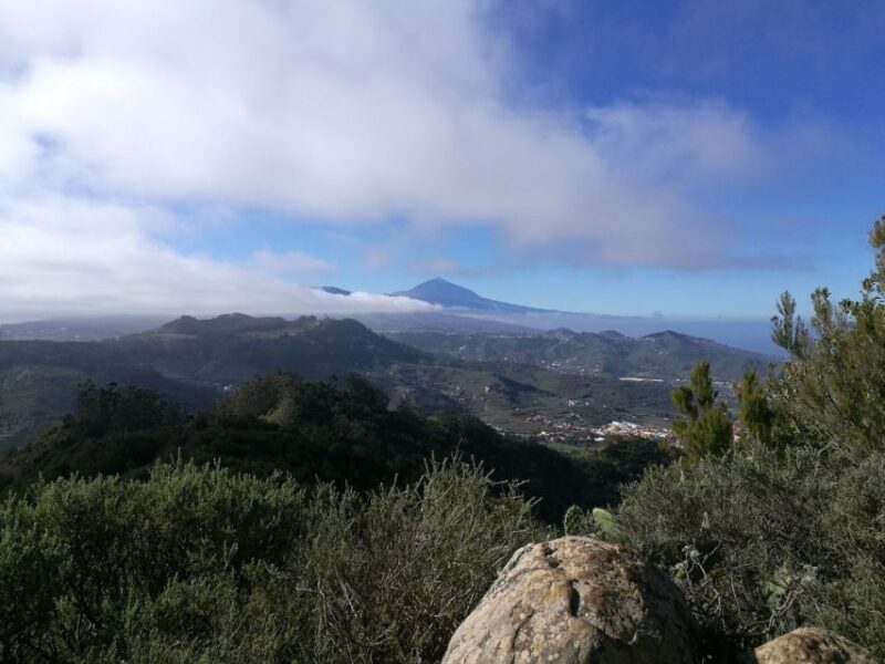 Santa Cruz de Tenerife: 2-Hour Hiking Tour in Anaga Forest - Exploring Anaga Forest: What to Expect on the Tour