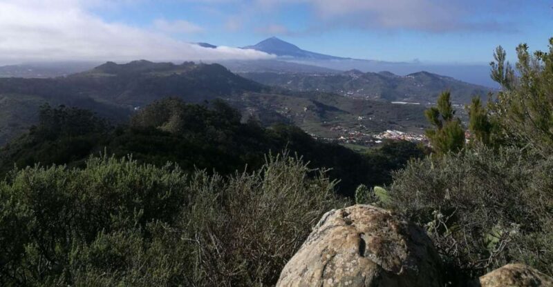 Santa Cruz de Tenerife: 2-Hour Hiking Tour in Anaga Forest - The Practicalities: Cost, Duration, and What’s Included
