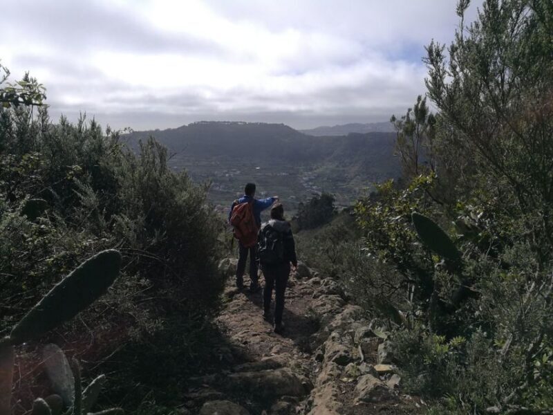 Santa Cruz de Tenerife: 2-Hour Hiking Tour in Anaga Forest - Why This Tour Is Worth Considering