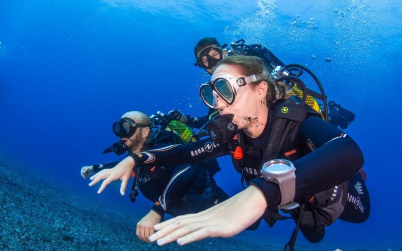 Santa Cruz de Tenerife: Advanced introductory course - Why This Tour Delivers Value