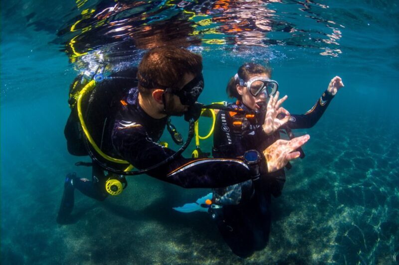 Santa Cruz de Tenerife: Beginner's Diving & Introduction - A Practical Guide to the Santa Cruz de Tenerife Beginner’s Diving Experience