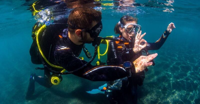 Santa Cruz de Tenerife: Beginner's Diving & Introduction - Who Should Consider This Tour?